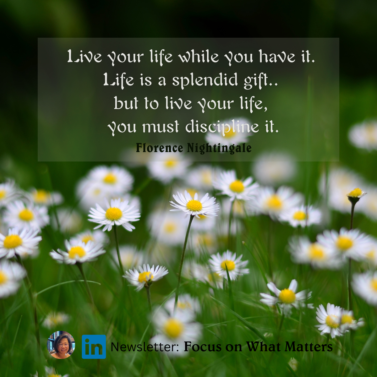 Angela S Oltmanns - Get coaching to live your life, beautifully